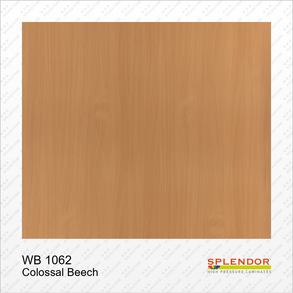 HPL Splendor 1062 SUD - Colossal Beech