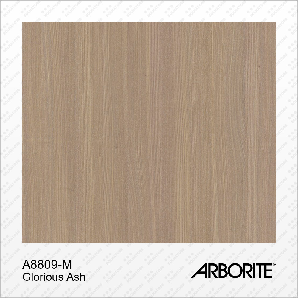 HPL Arborite A 8809 M - Glorious Ash